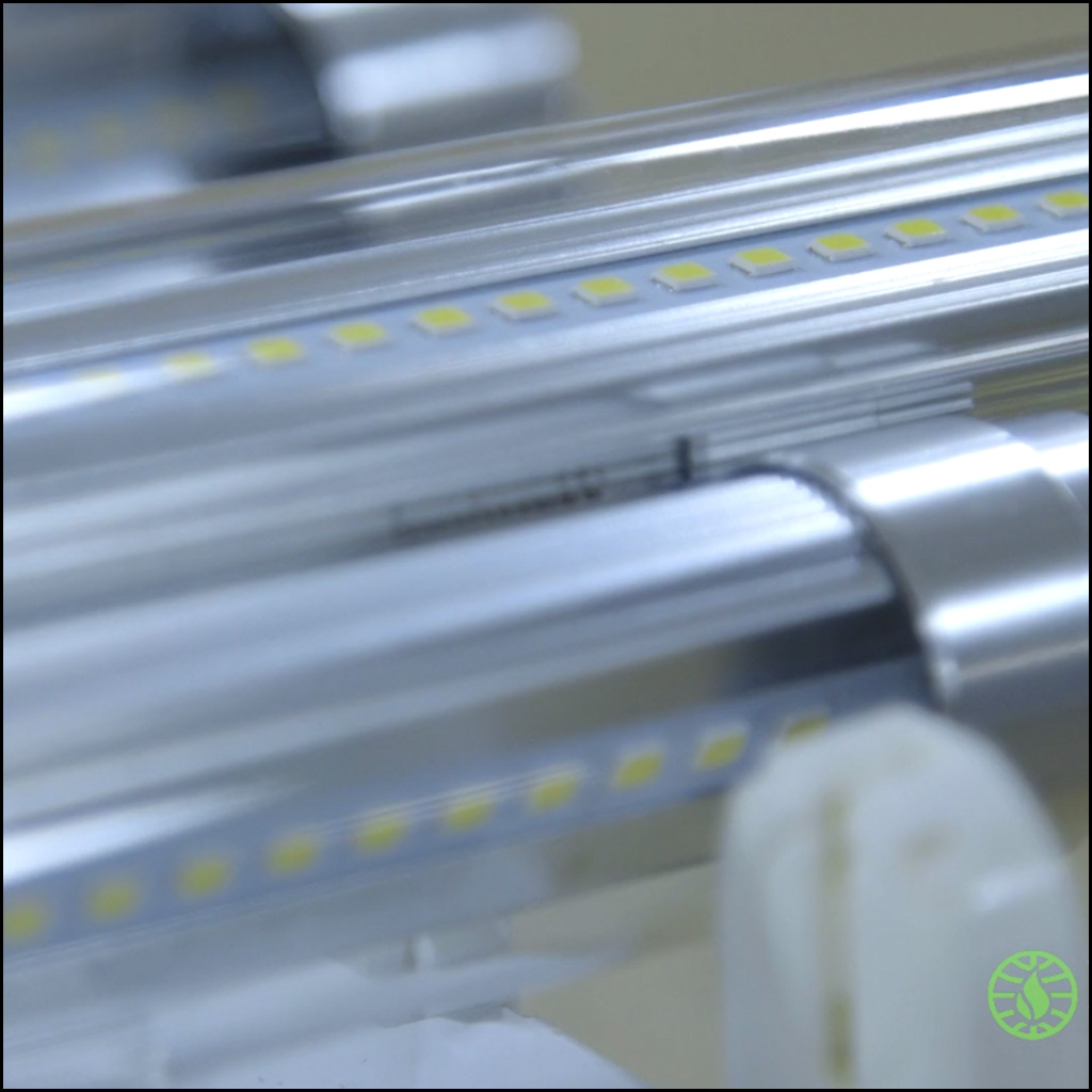 Kimberly LED Lighting - Anthony Marzilli