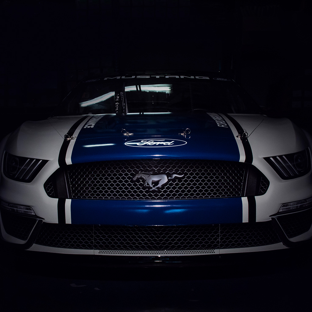 Mustang NASCAR - Anthony Marzilli